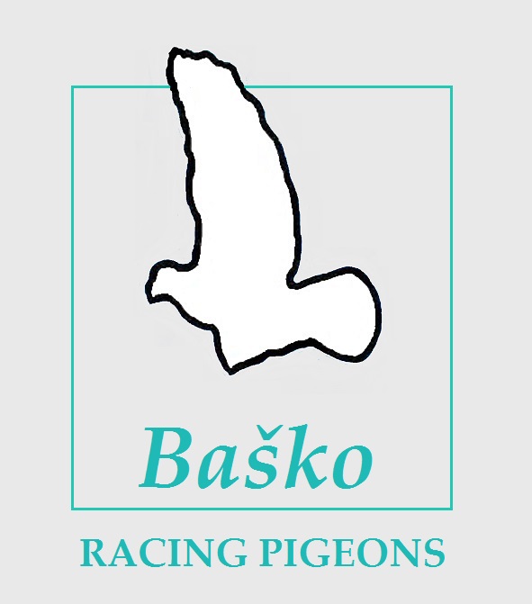 Medaila za 2. World Best Pigeon All Round 2019 :: BAŠKO racing pigeons
